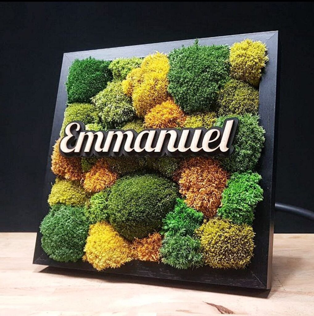 Preserved Moss Frame - The Mossiah