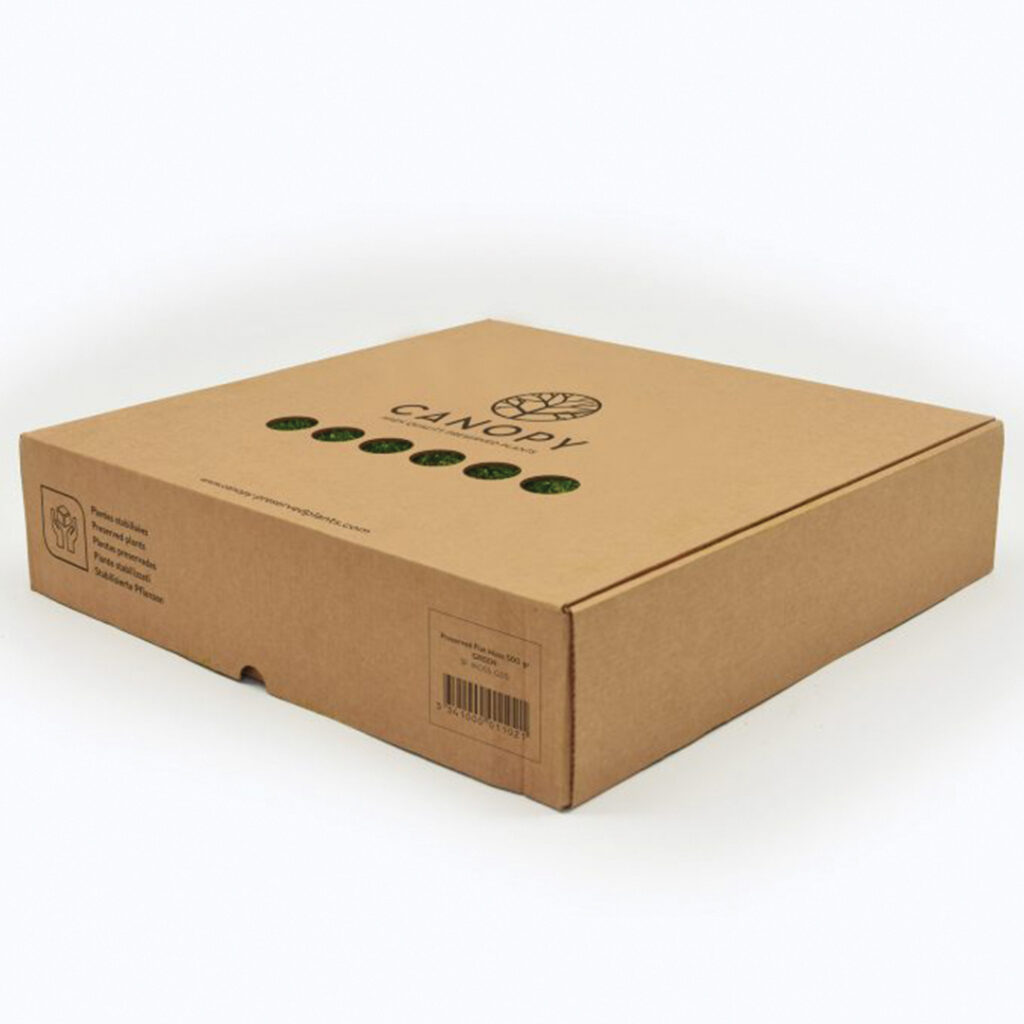 Canopy – Preserved Flat Moss